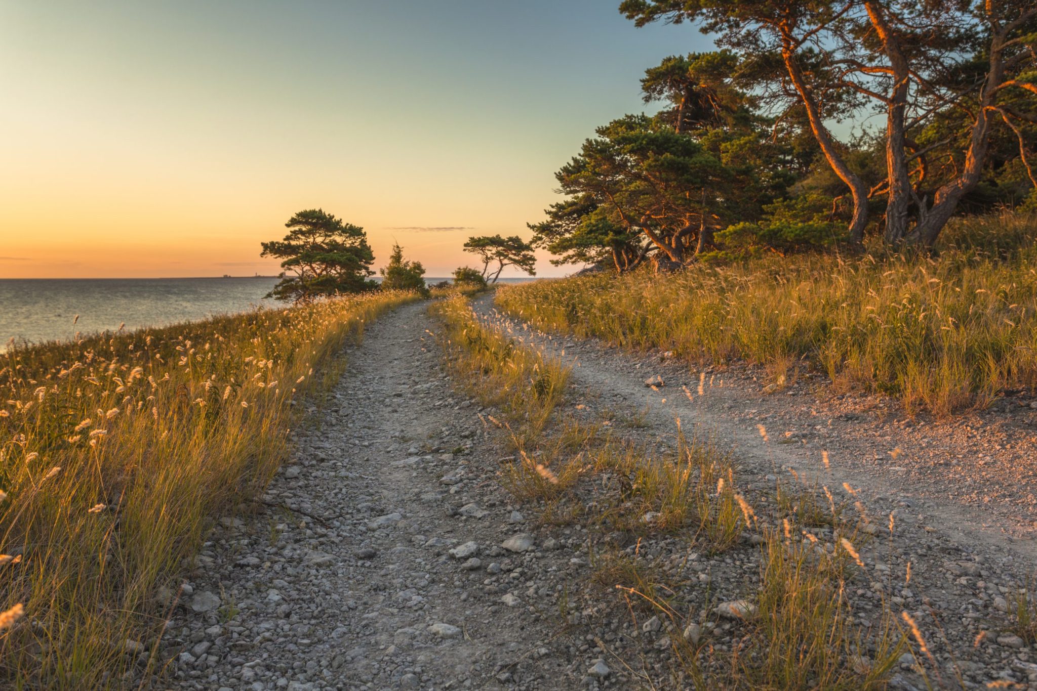 Cycling holiday on Gotland north with Fårö - 7 Days - Experience package